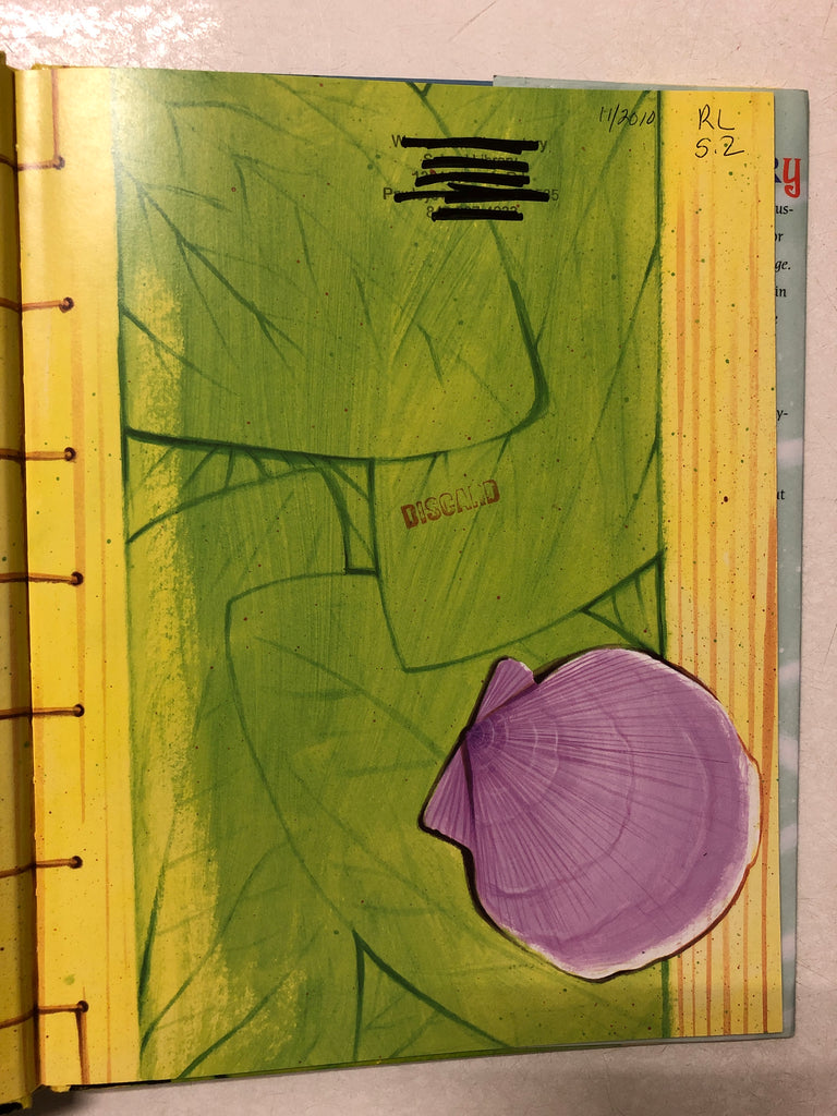 Beachcombing Exploring the Seashore – Slickcatbooks