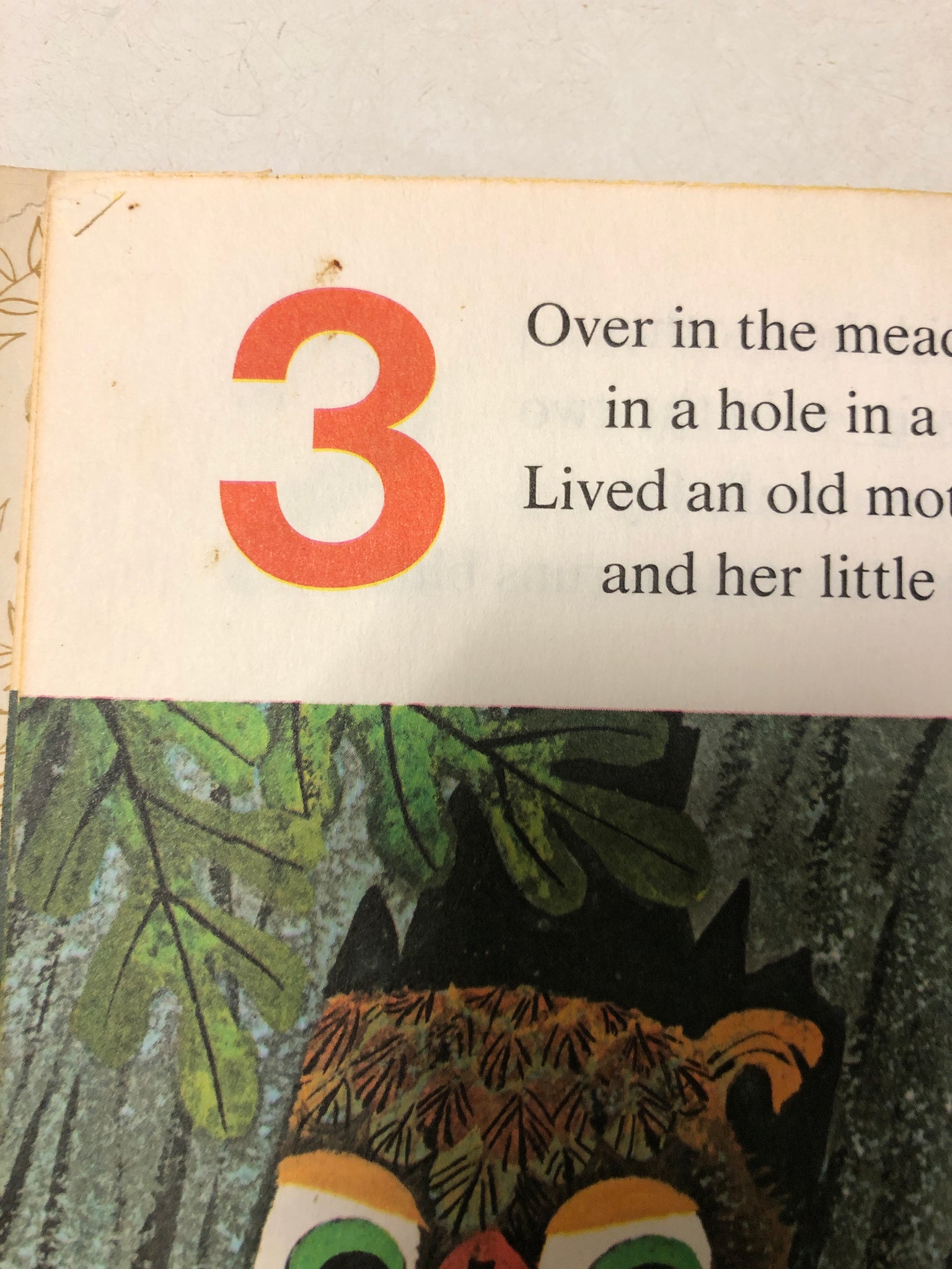 Animal Counting Book – Slickcatbooks