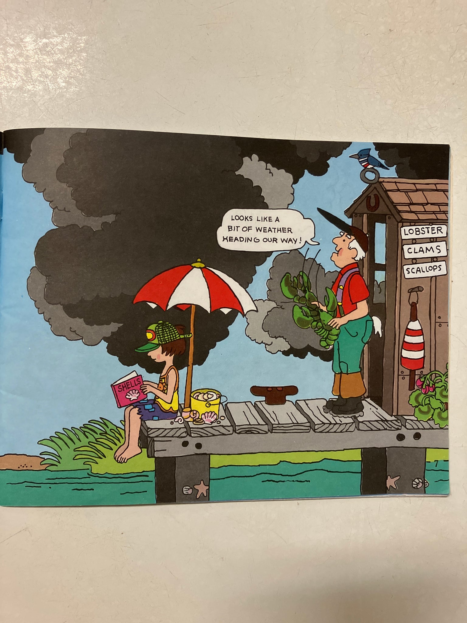 Flash, Crash, Rumble, and Roll – Slickcatbooks