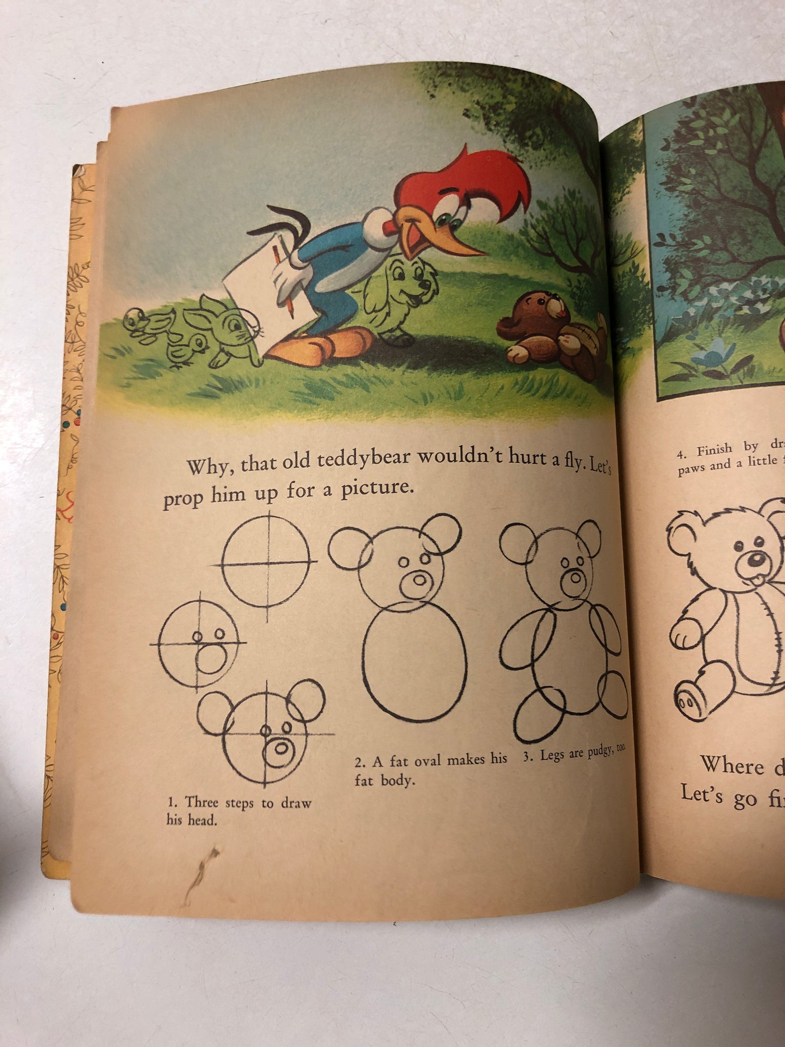 Walter Lantz Woody Woodpecker Drawing Fun for Beginners – Slickcatbooks