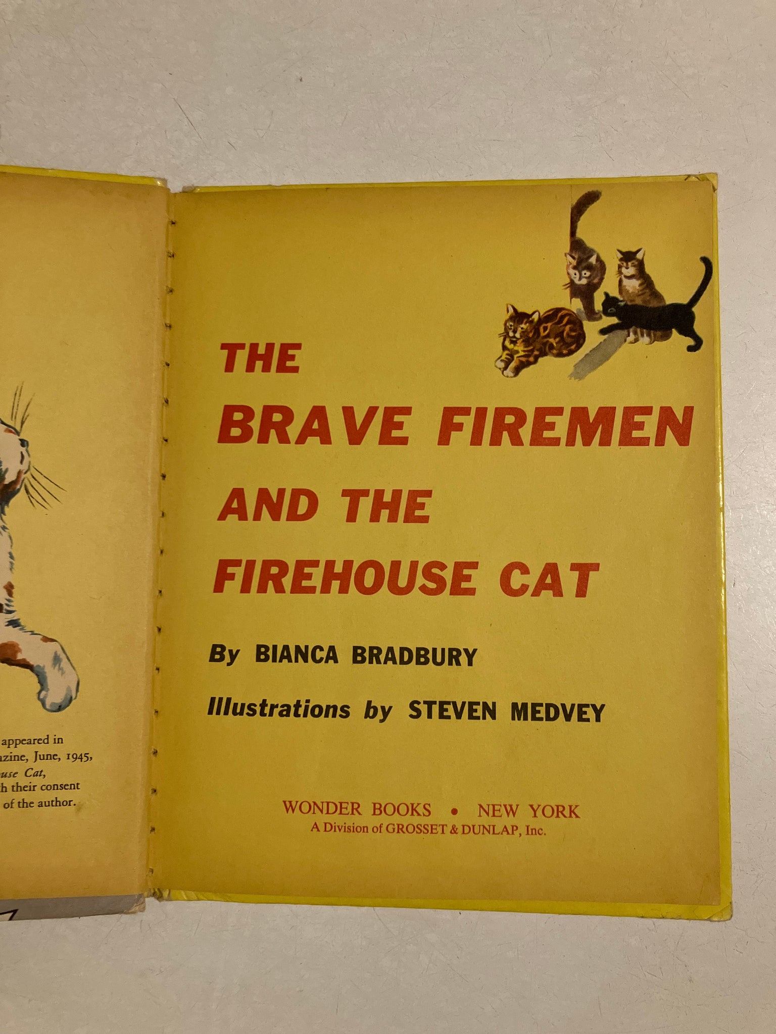 The Brave Firemen and the Firehouse Cat – Slickcatbooks