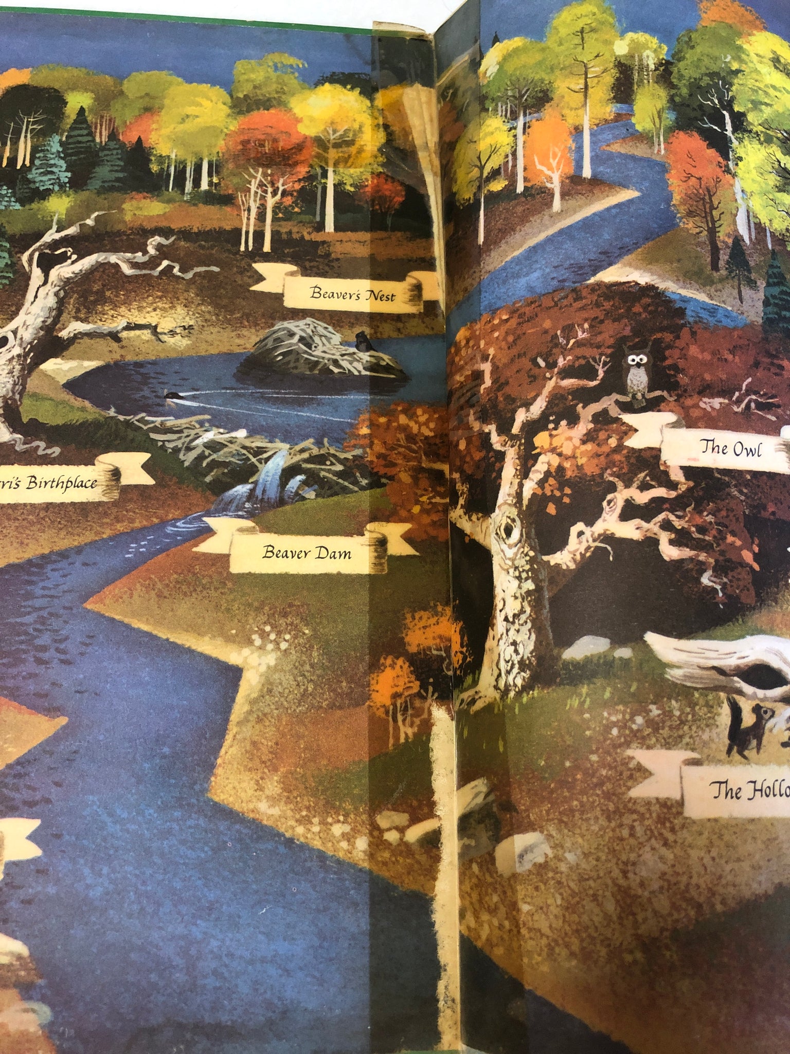 Walt Disney’s Perri – Slickcatbooks