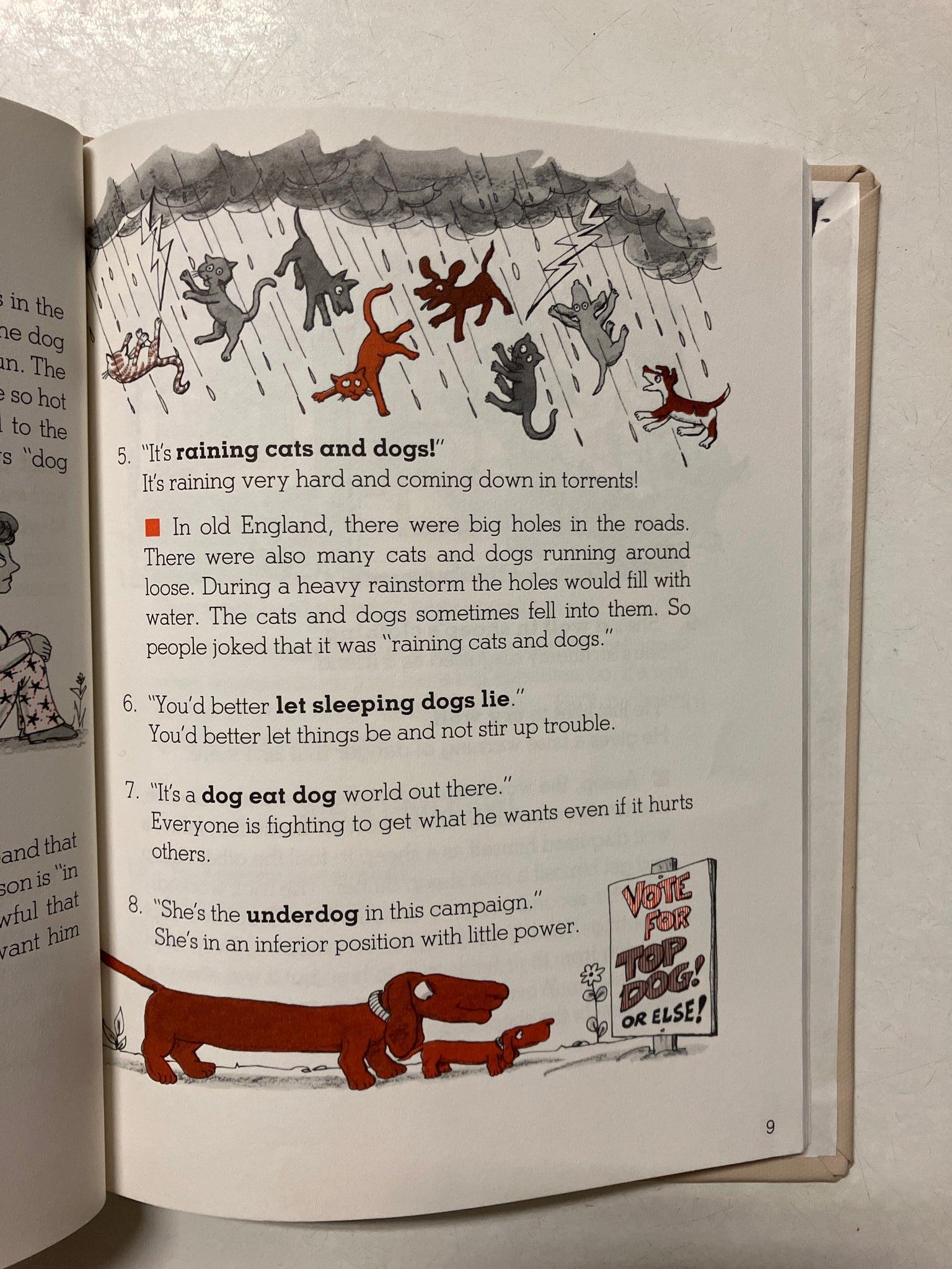 Mad As a Wet Hen! And Other Funny Idioms – Slickcatbooks