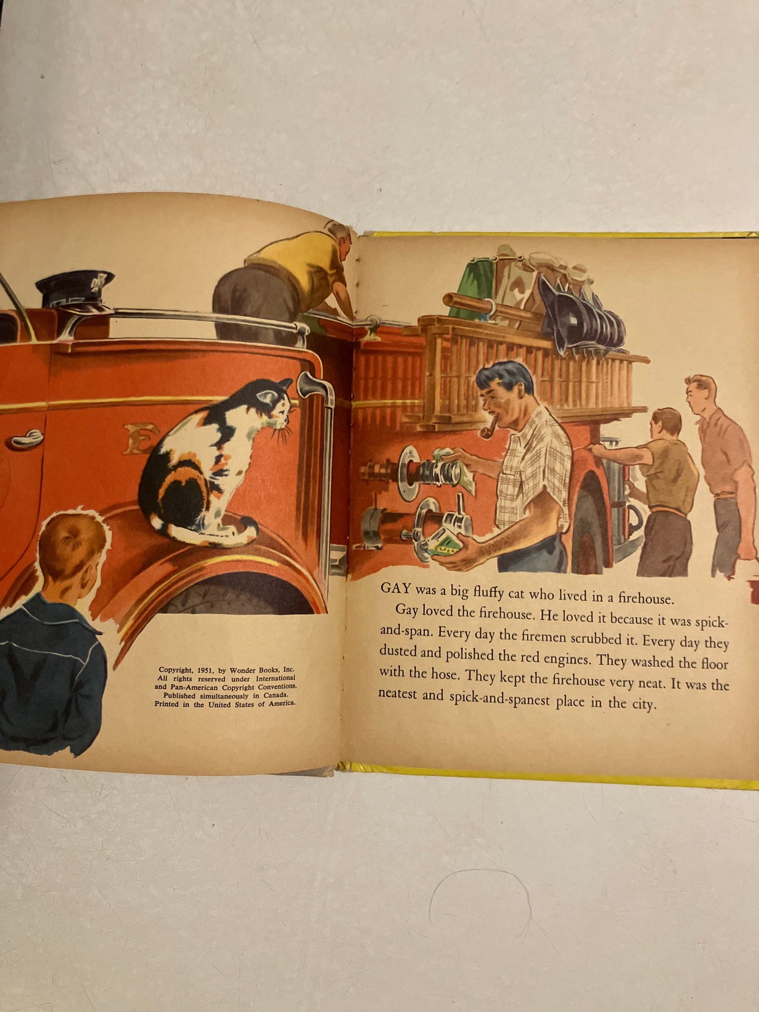 The Brave Firemen and the Firehouse Cat – Slickcatbooks