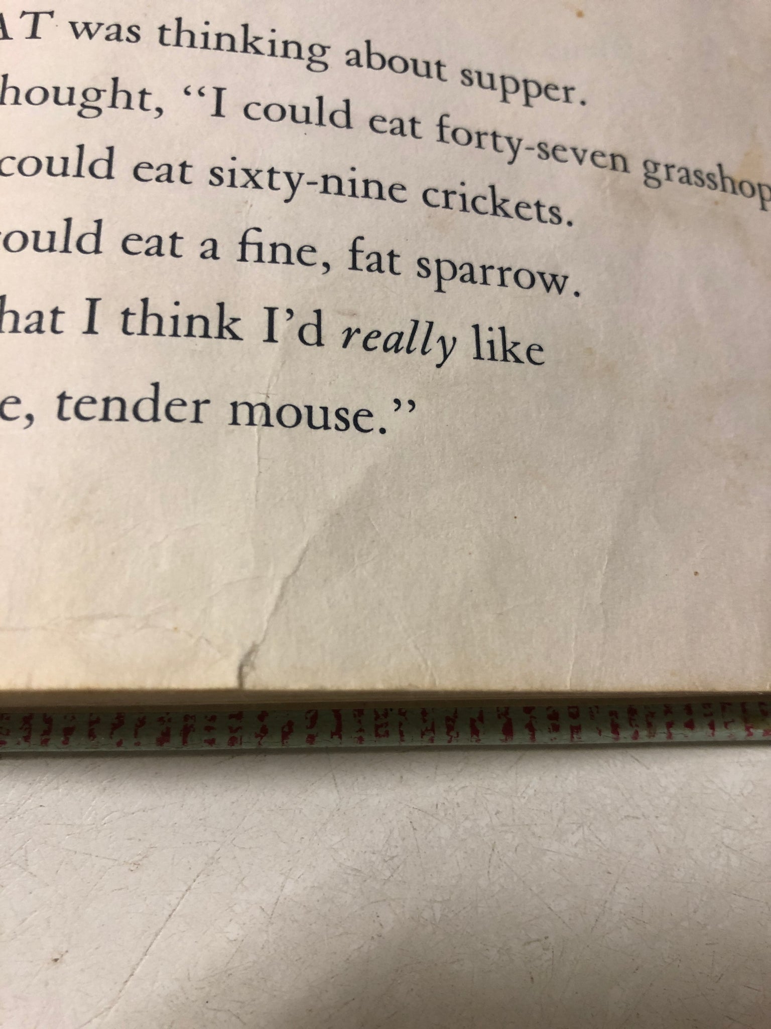 Mice Twice – Slickcatbooks