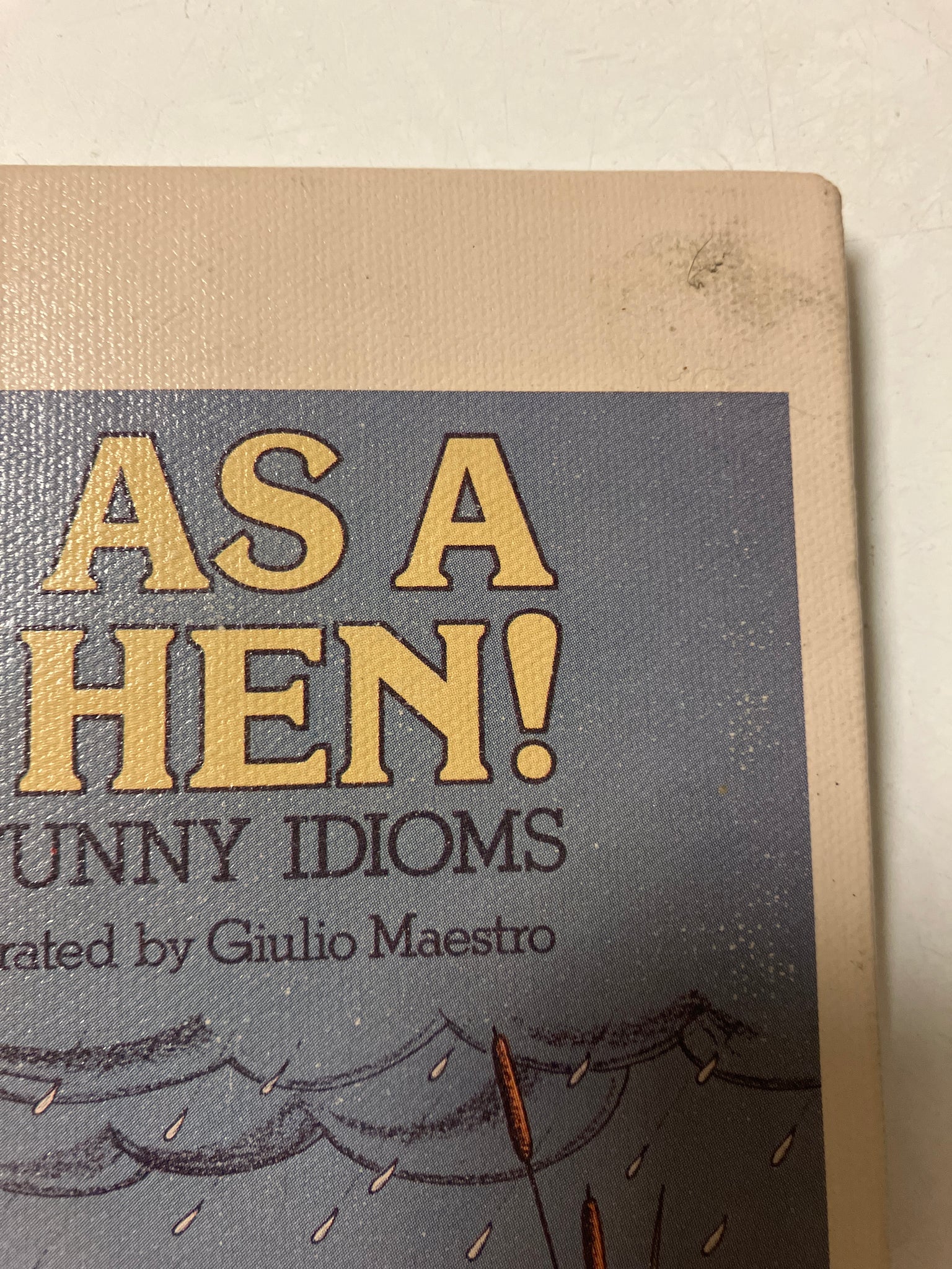 Mad As a Wet Hen! And Other Funny Idioms – Slickcatbooks