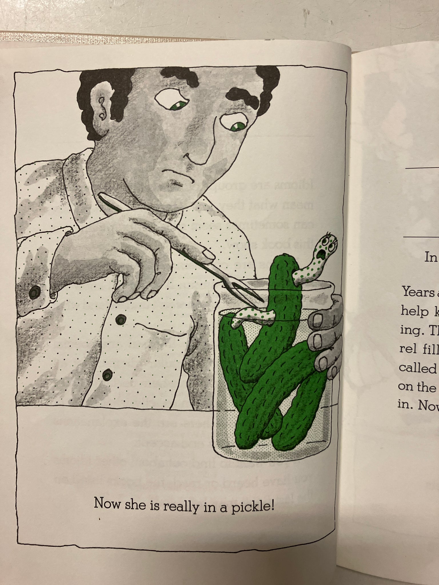 In a Pickle and Other Funny Idioms – Slickcatbooks