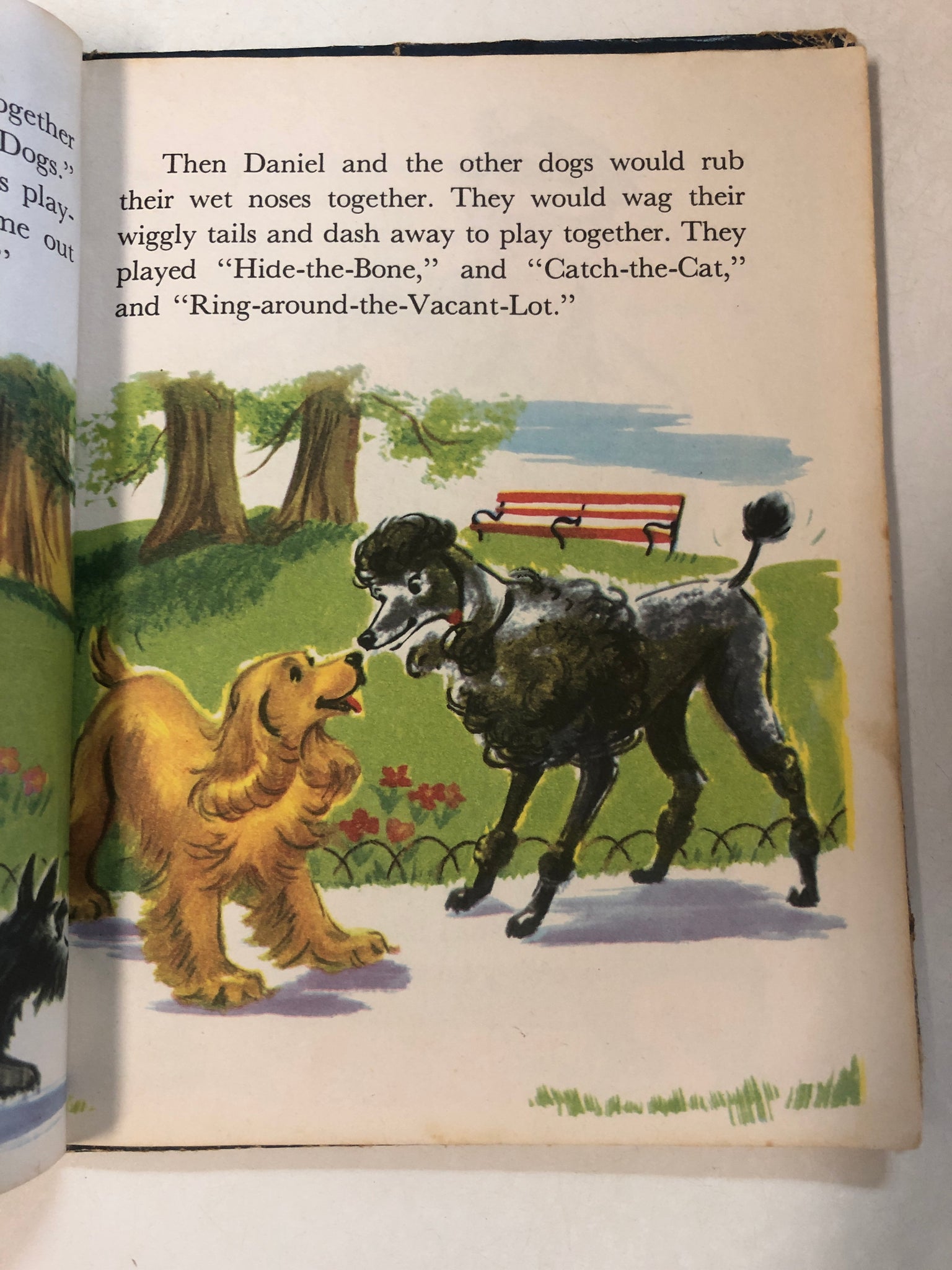 Daniel the Cocker Spaniel – Slickcatbooks